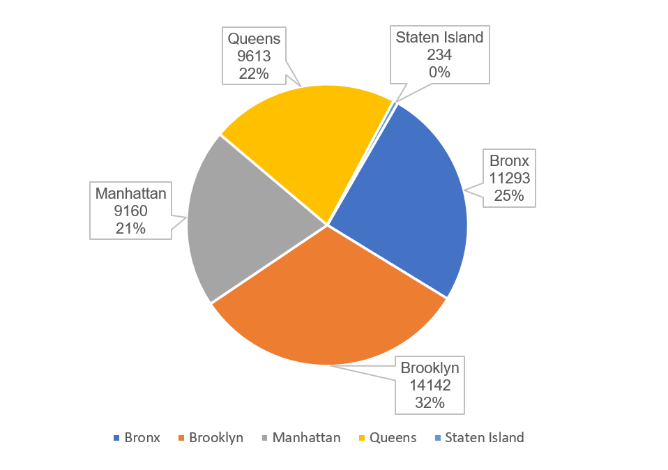 Review of the New York City Department of Homeless Services’ Programs ...