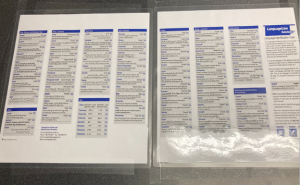 Audit Report on the Bronx County District Attorney’s Office’s Provision ...